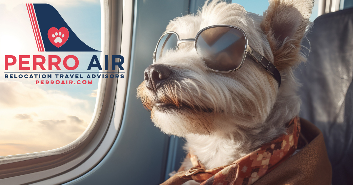 Available Flights | Perro Air™
